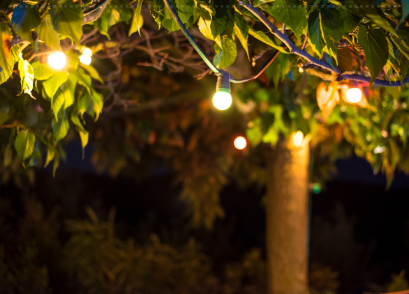 Transform Your Garden with Festoon Lighting: A Guide to Creating a ...
